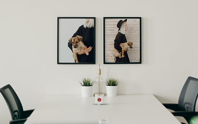 Custom Pet Portraits | My Pet Crew