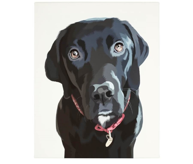 Custom Pet Portraits | My Pet Crew