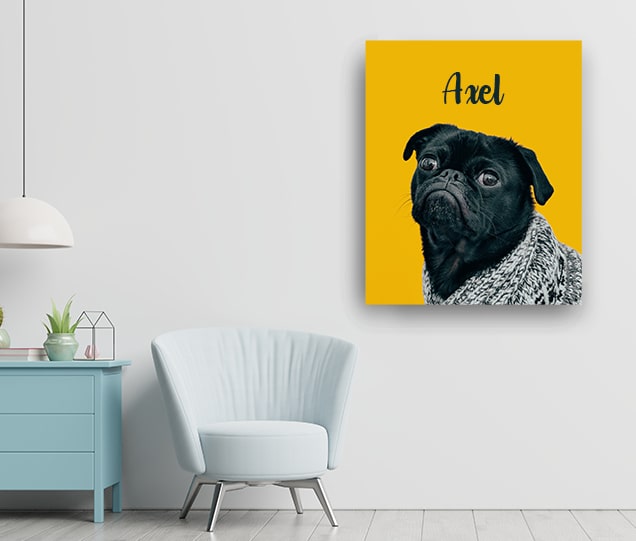 Custom Pet Portraits | My Pet Crew