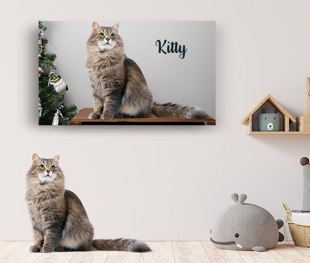 Custom Pet Portraits | My Pet Crew