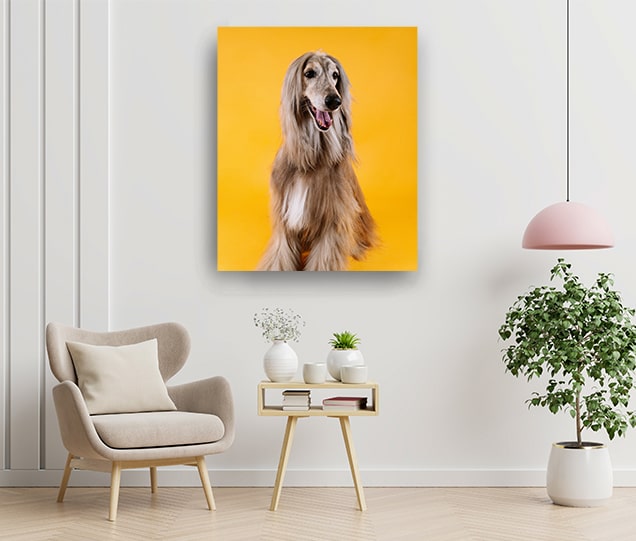 Custom Pet Portraits | My Pet Crew
